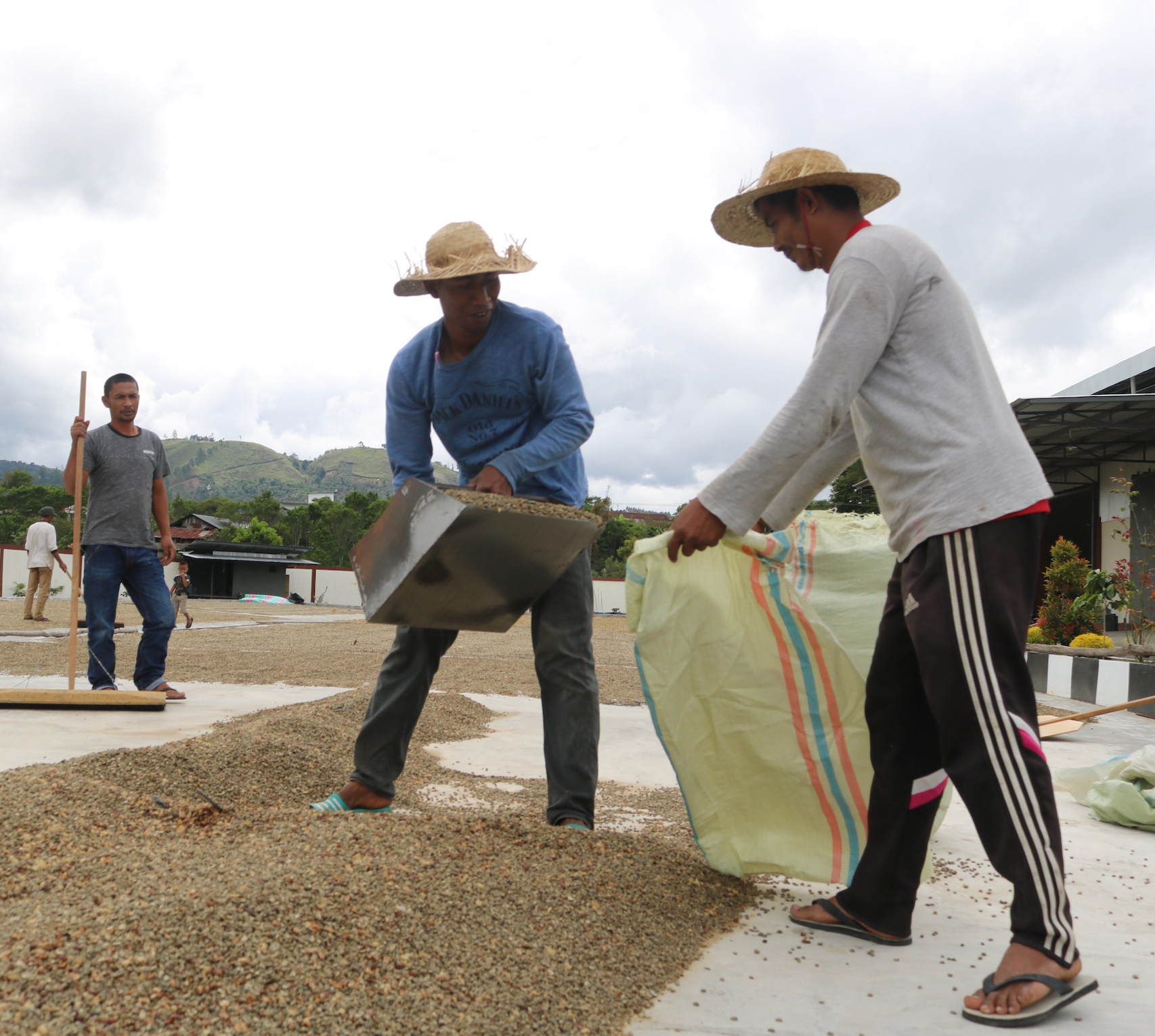 Meet the Coffee Farmers – The Coffee Farmer's Co-op